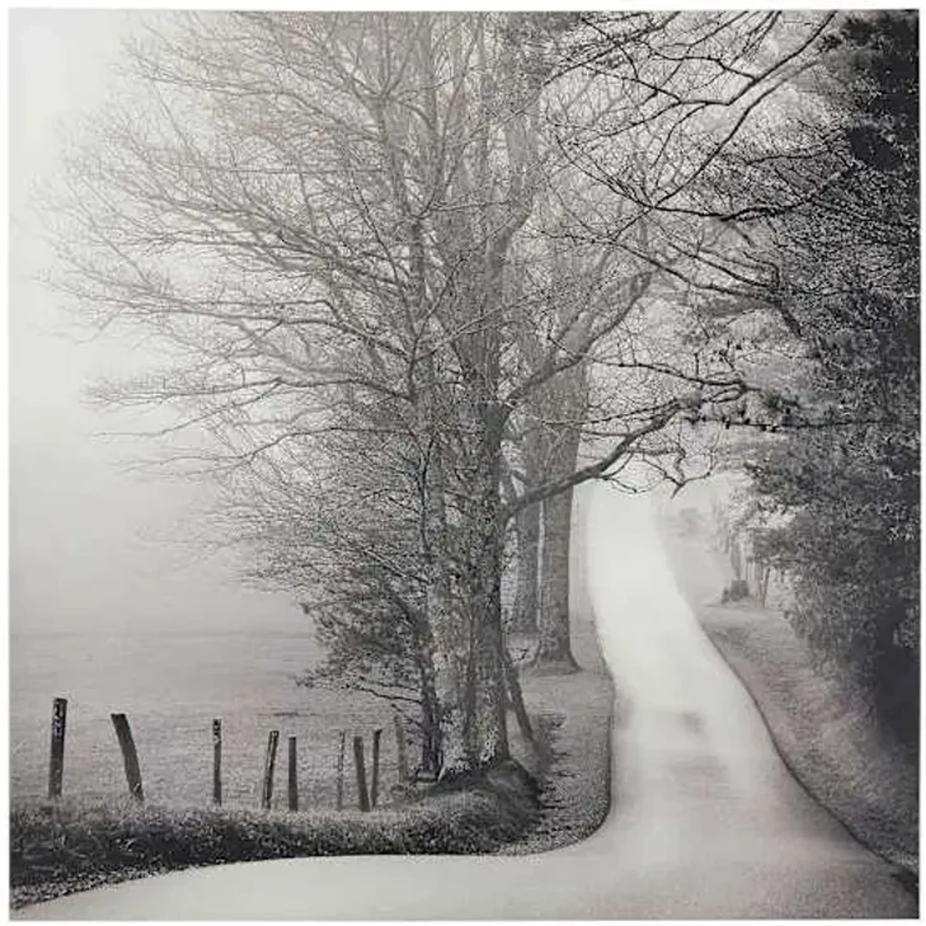 Cascade Cove Canvas Wall Art 48 At Home | Furniture.com