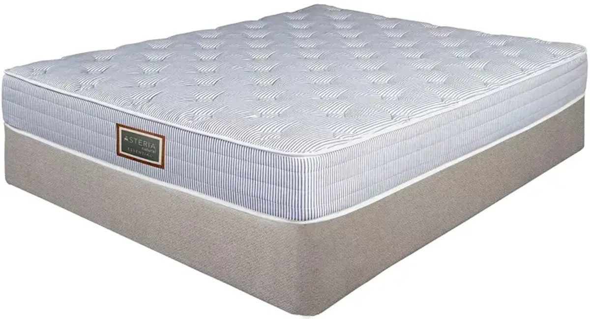 Asteria Essential Trundle Full Mattress and Box Spring Set - Exclusive ...