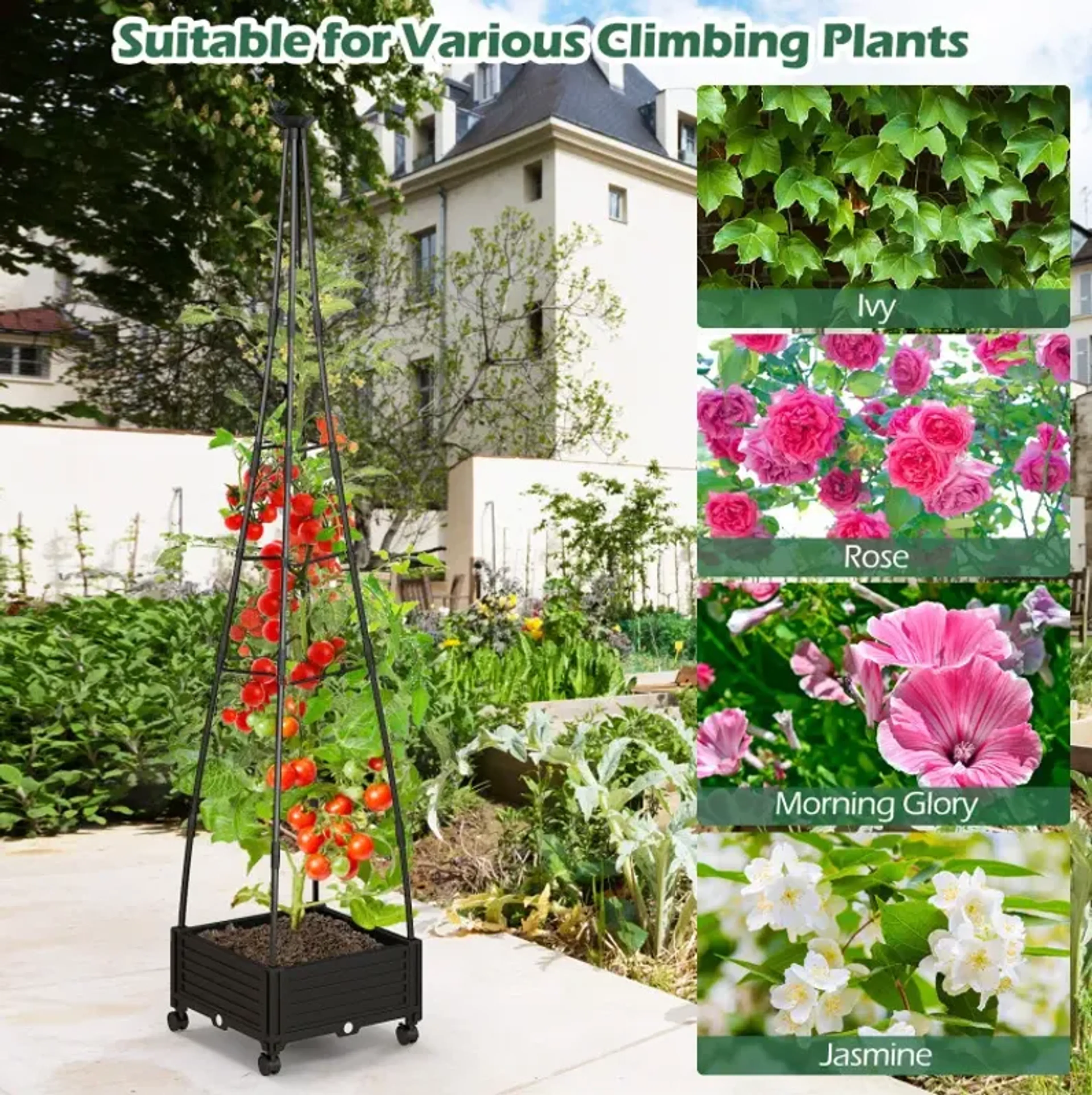 Garden Obelisk Trellis With Self Drainage System For Climbing Plants ...
