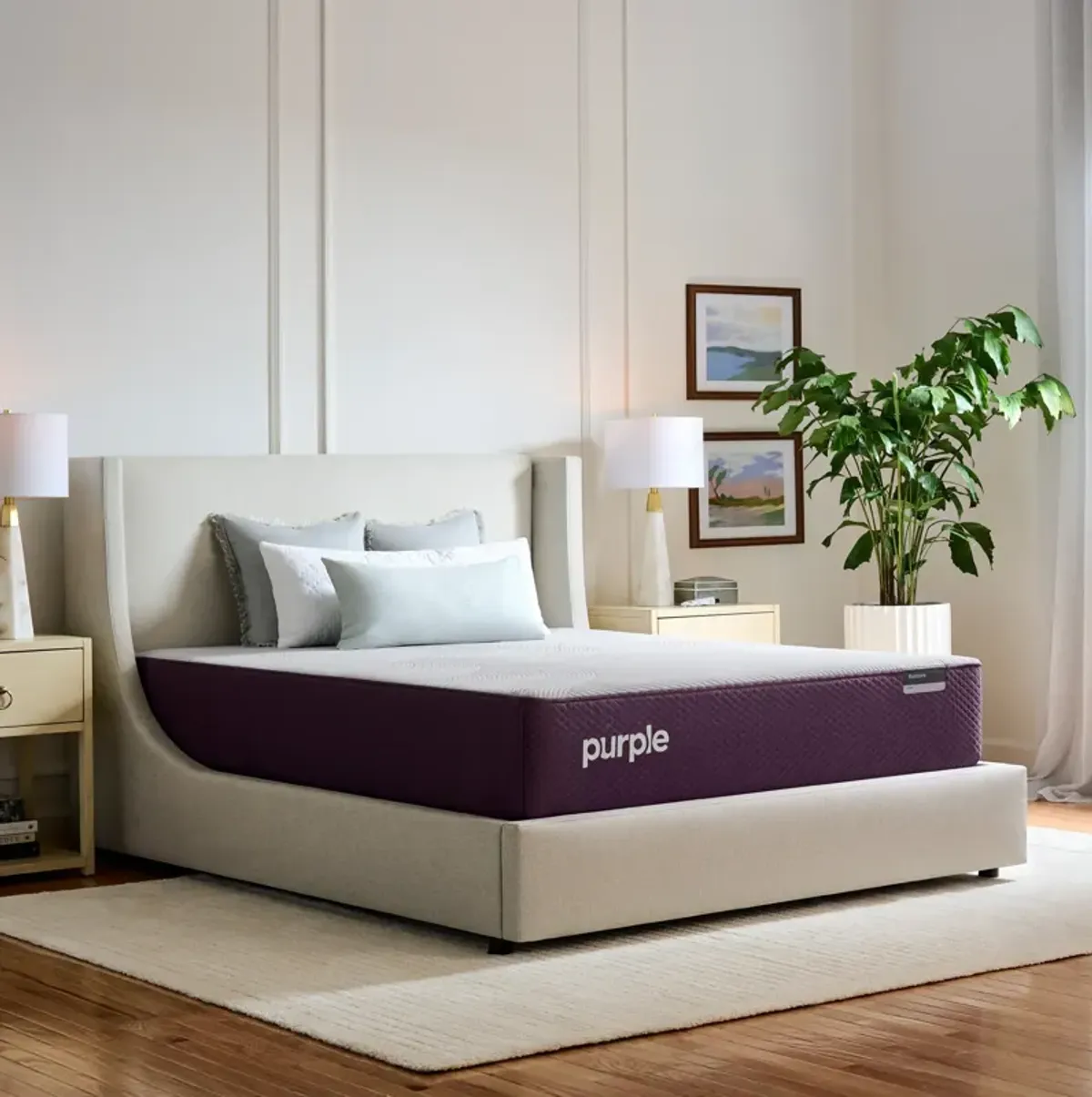 Arietta Firm Queen Mattress by Cardi's Furniture & Mattresses ...