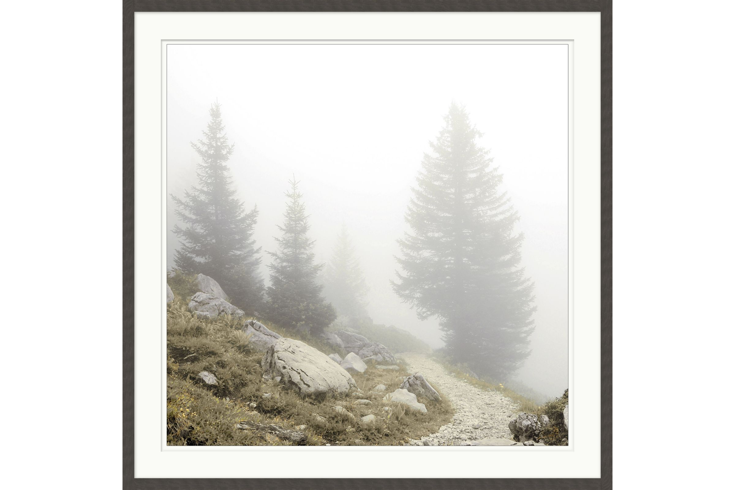 Mountain Fog Art 1