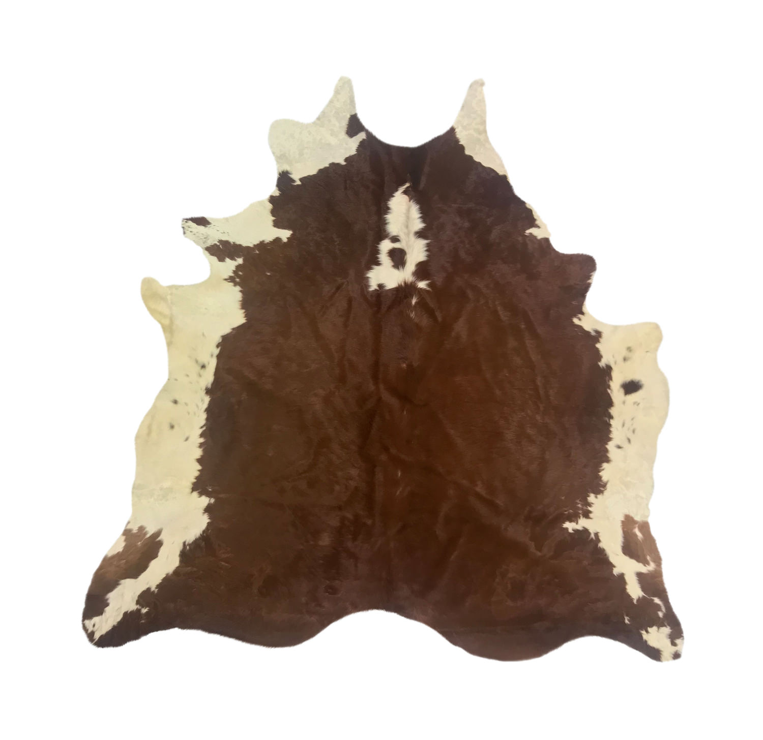Premium Large Brown And White Cowhide