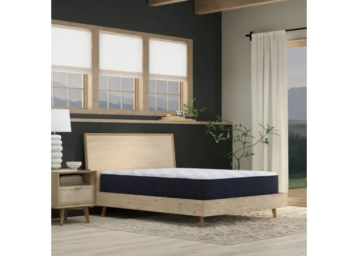 Rejuvenate III Firm Twin Xtra Long Mattress Standard Foundation by Jerome s Furniture Furniture