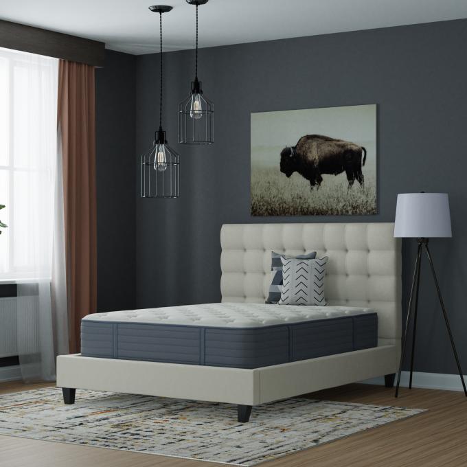 Revitalize V Medium Plush Twin Mattress & Contempo III Adjustable Power ...