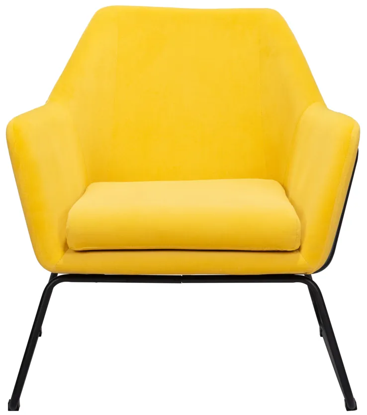 Chairs | Furniture.com