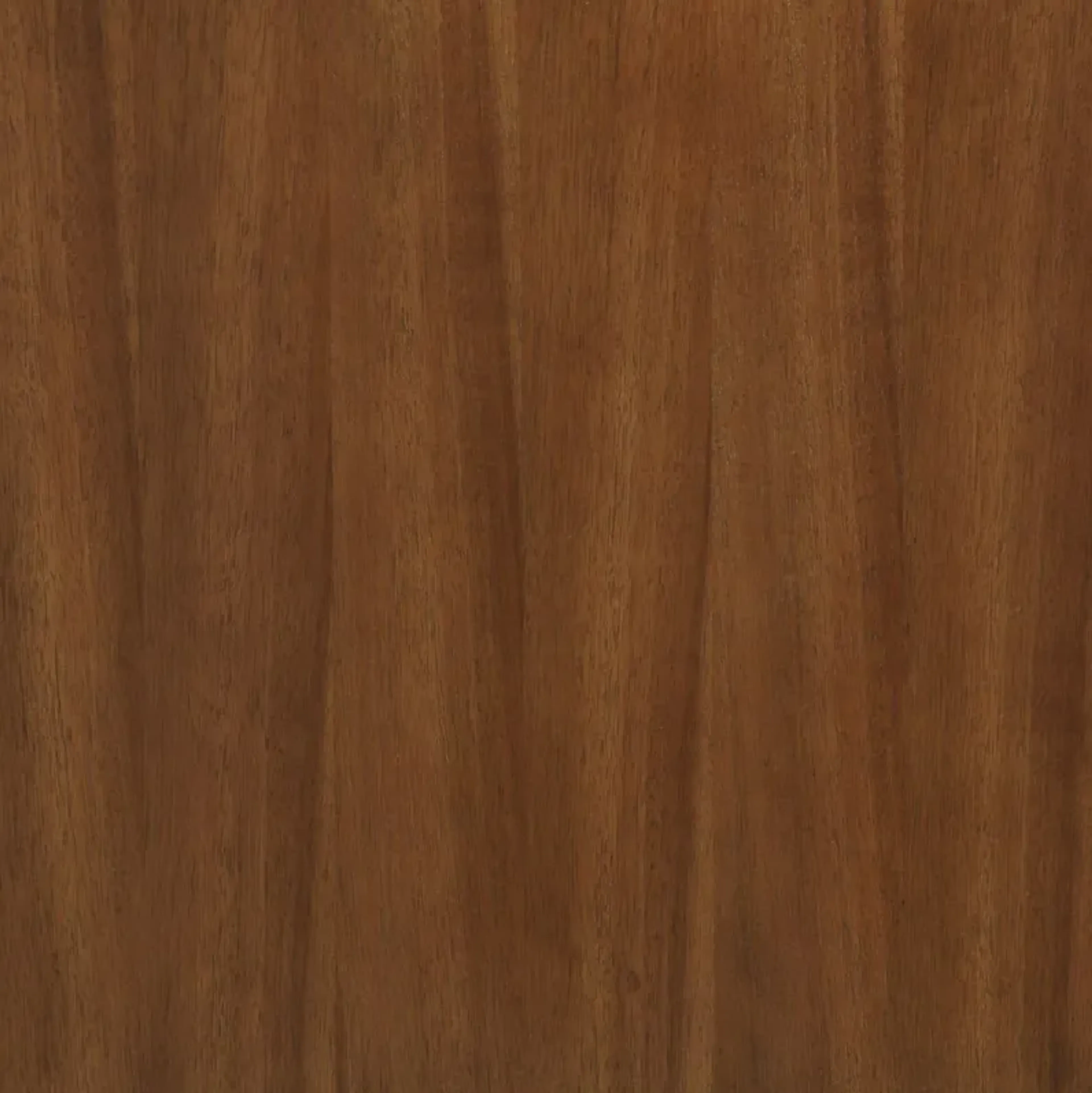 Terra 24 Floating Single Sink Bathroom Vanity Walnut One Kings Lane ...