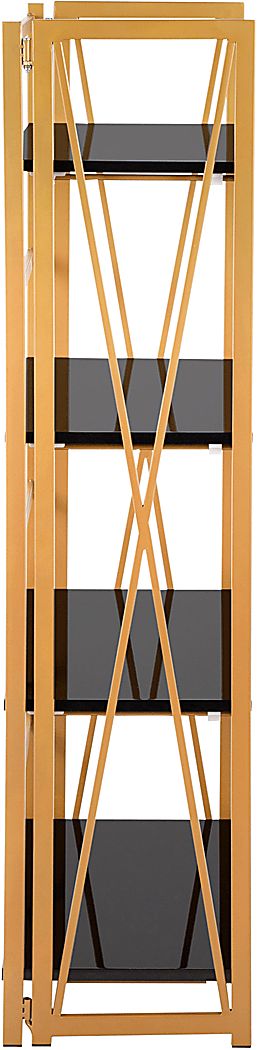 Moonbill Black Bookcase