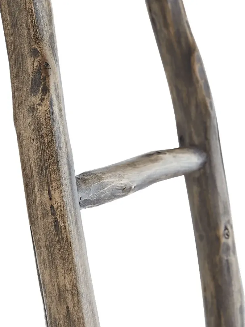 Vawter Tan Decorative Ladder
