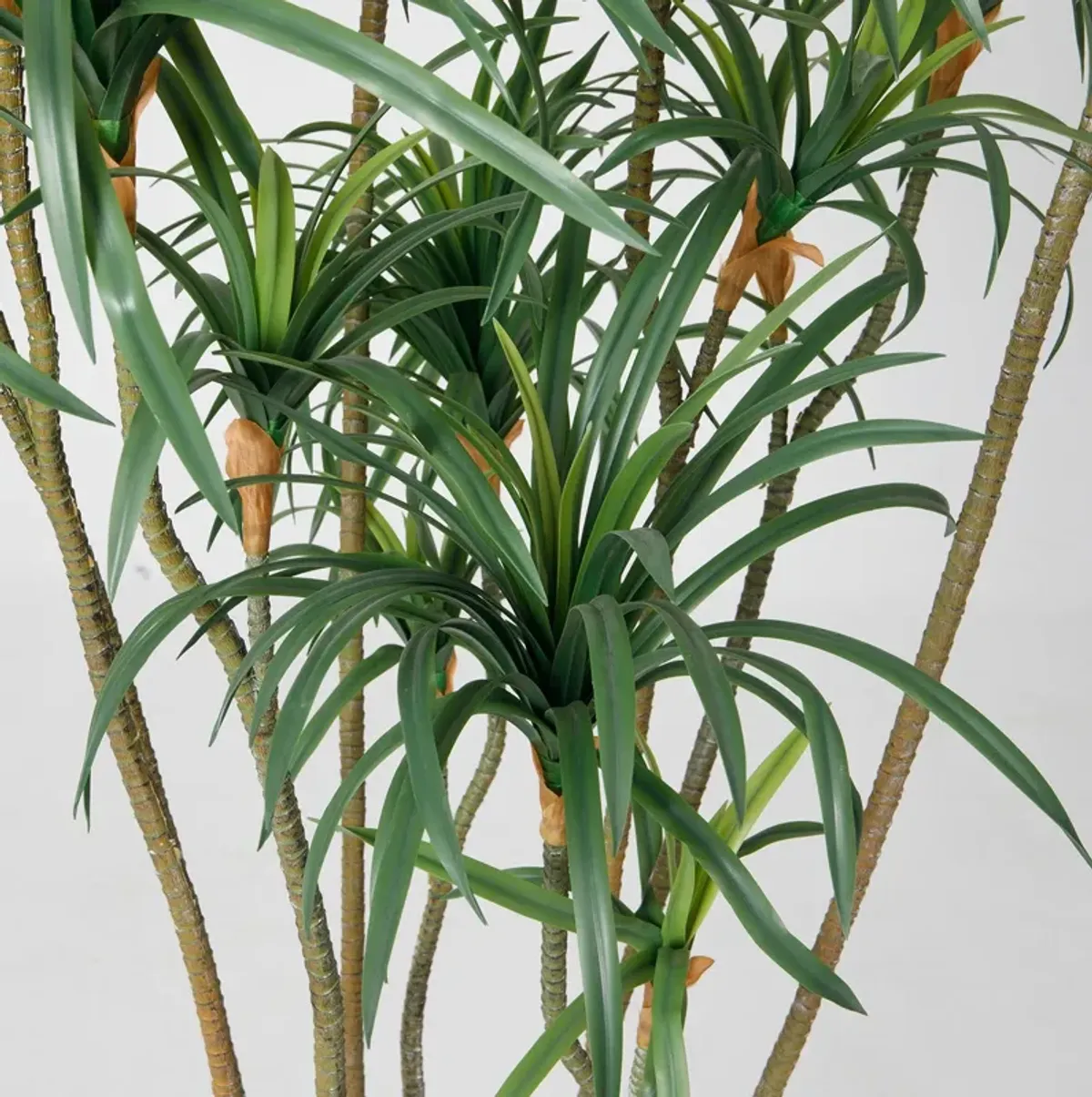74” Fake Dracaena Dragon Tree | Perfect Indoor and Outdoor Décor by ...